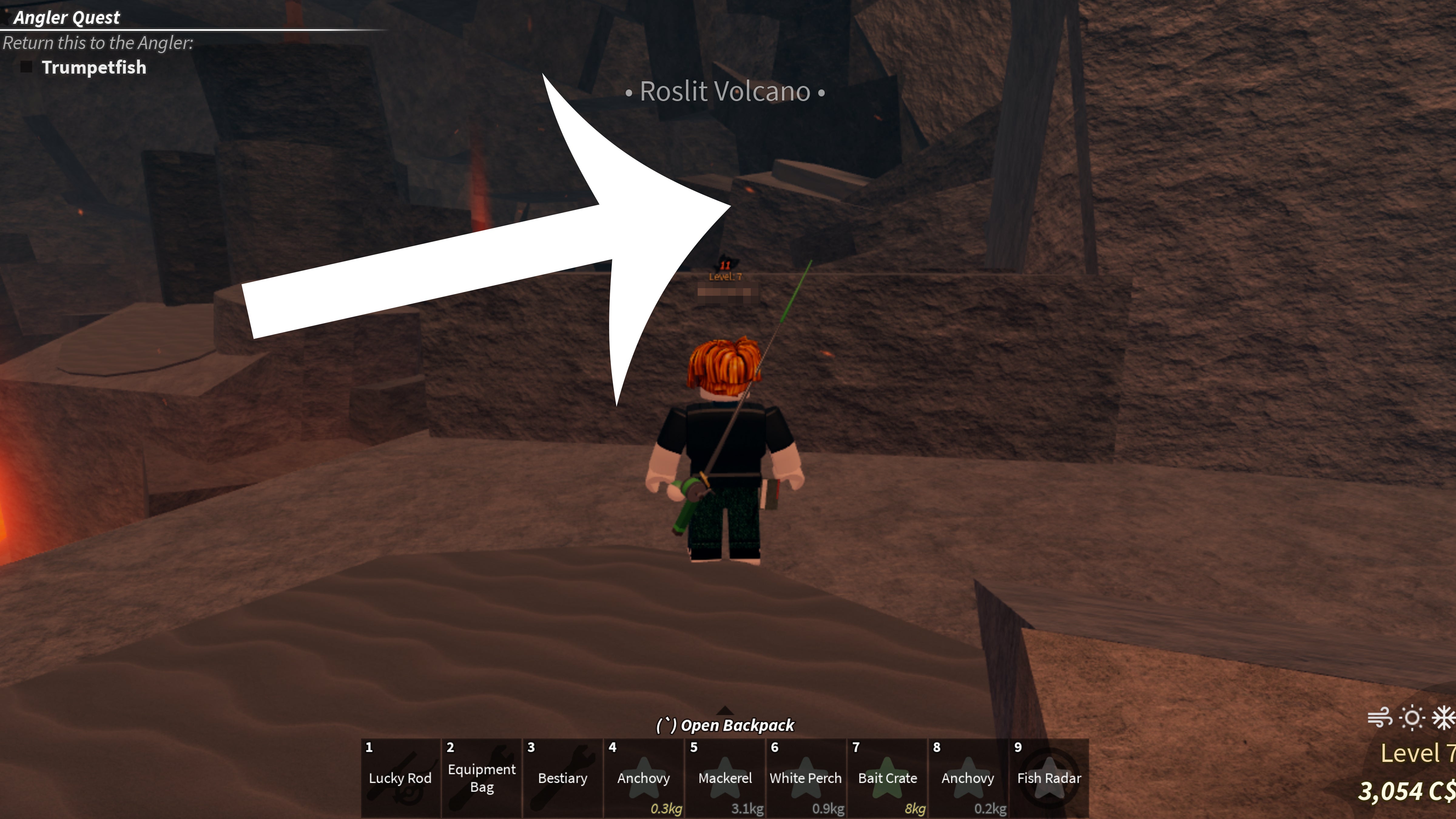 Roblox Fisch Totem locations | VG247