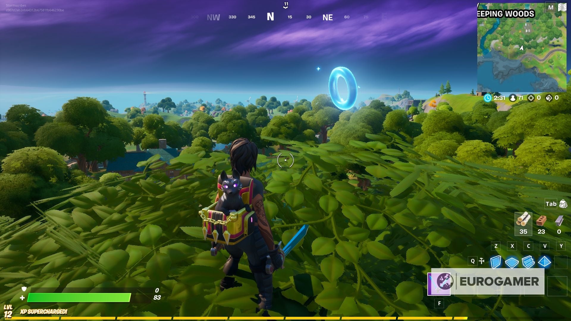 Fortnite Floating Rings at Weeping Woods explained | Eurogamer.net