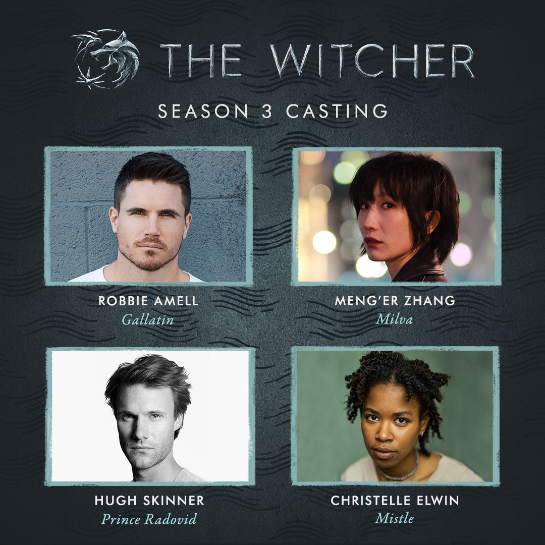 Netflix's The Witcher casts its Gallatin, Milva, Mistle, and Prince ...