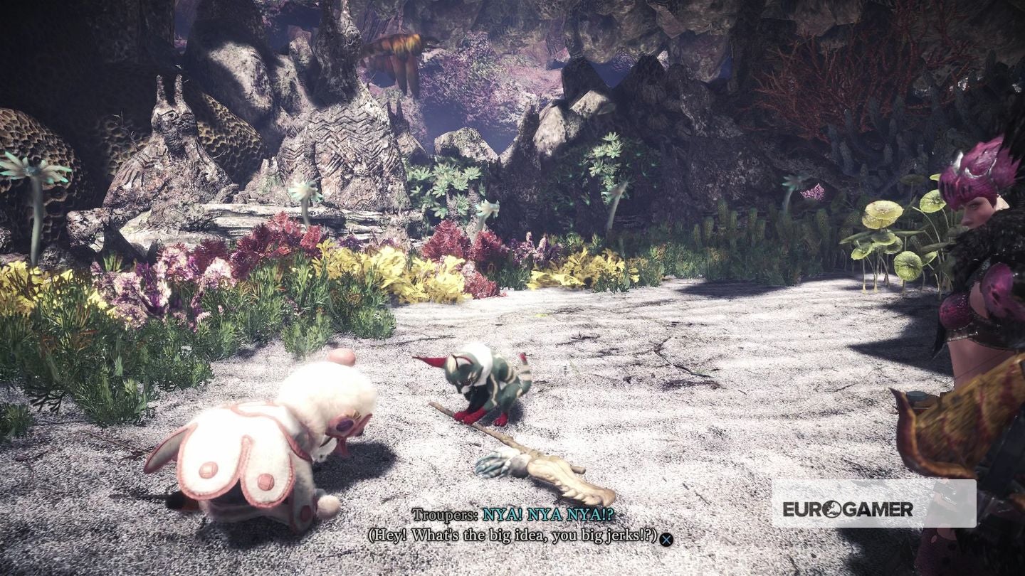 Monster Hunter World Grimalkynes - Doodles explained, how to catch 3 ...