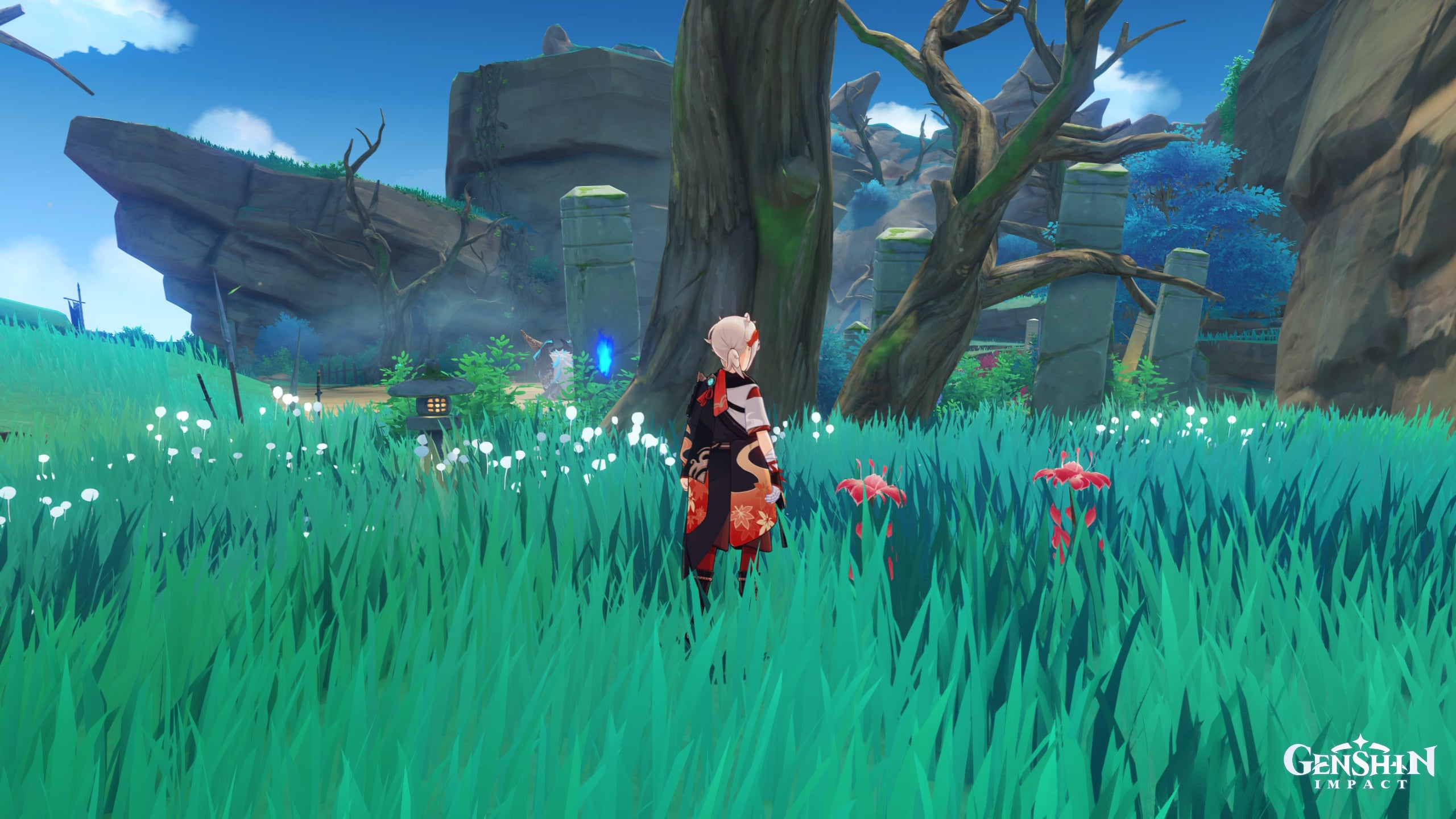 Genshin Impact Dendrobium locations and Dendrobium farming | VG247