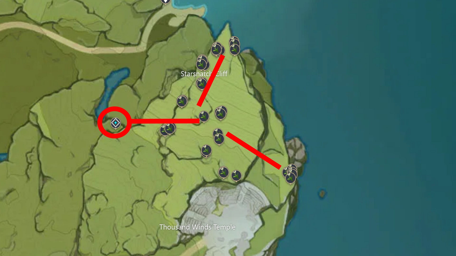 Genshin Impact Cecilia locations and Cecilia farming tips | VG247