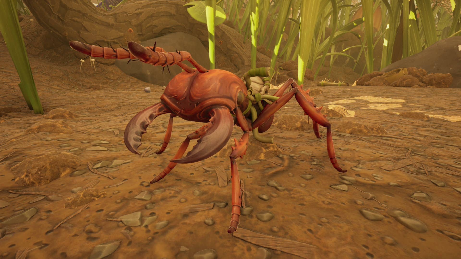 How To Get A Red Soldier Ant Egg In Grounded 2 | Rock Paper Shotgun