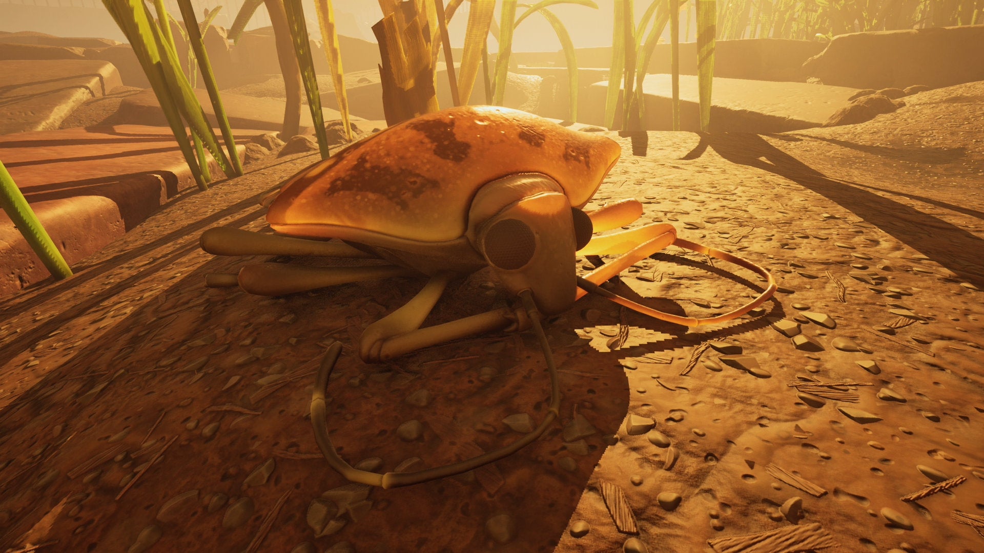 Grounded 2 briefcase code combination solution | Rock Paper Shotgun