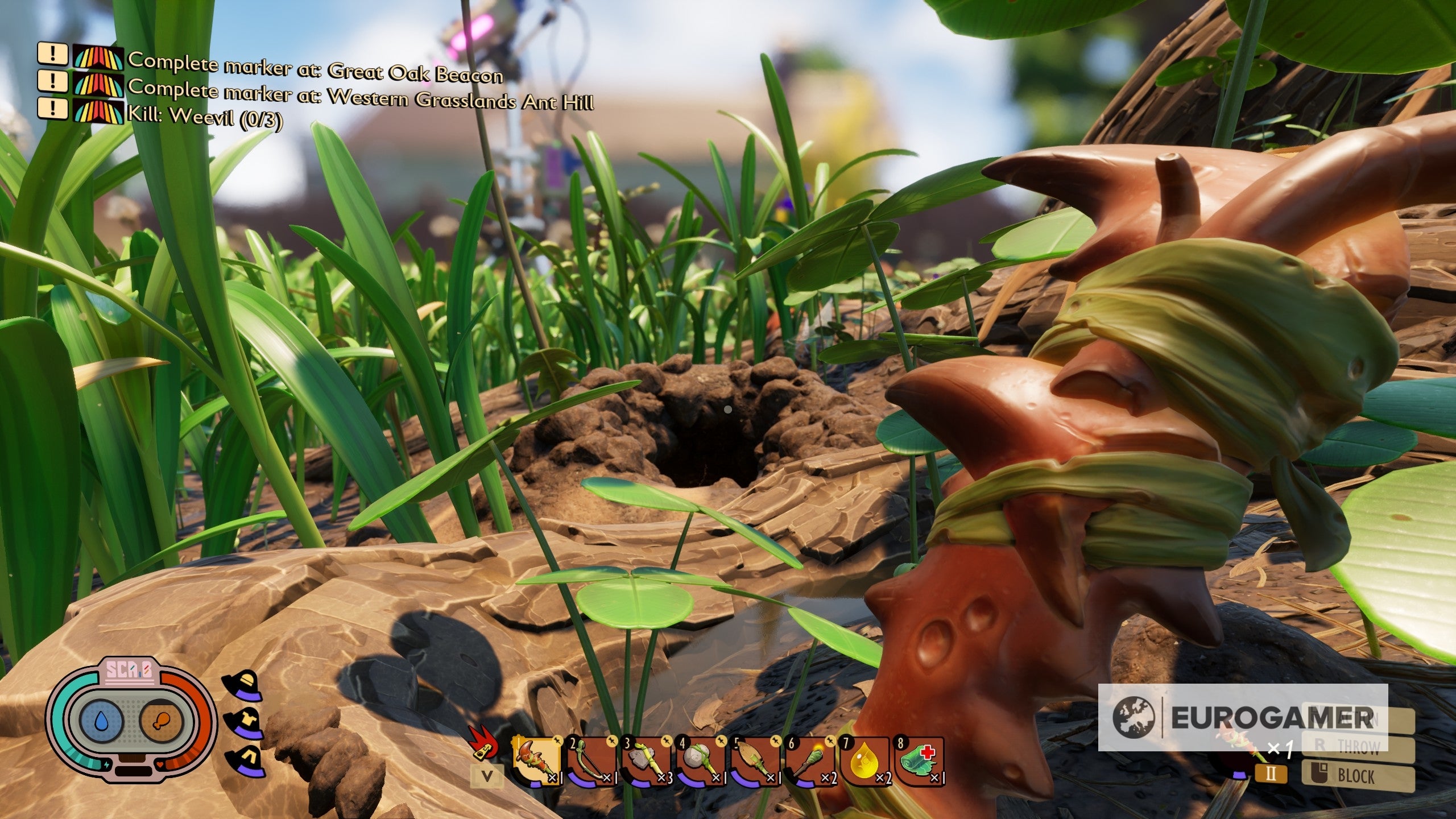 Grounded Soldier Ants location, strategy and how to get an Ant Club ...