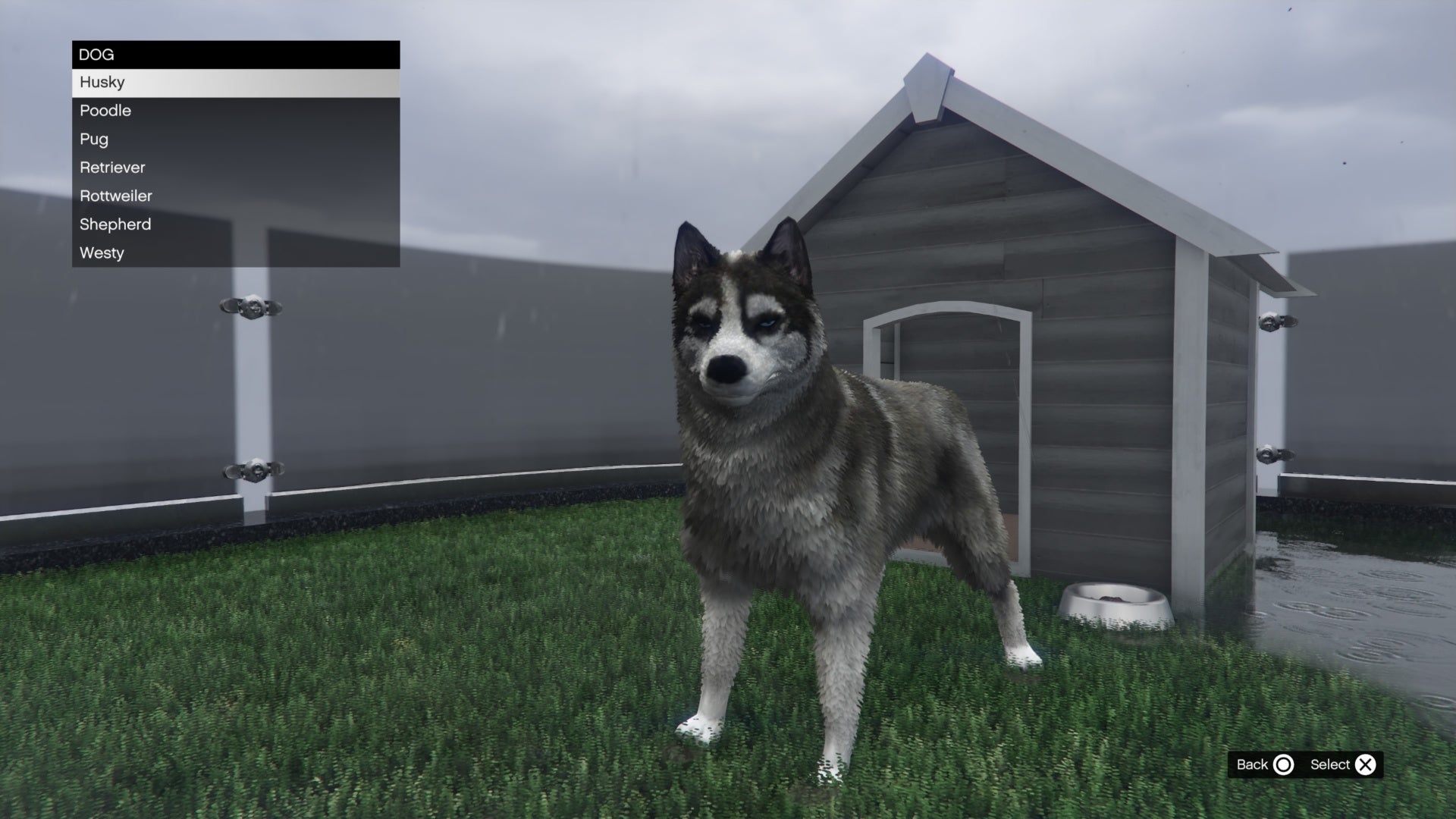 How to get a dog in GTA Online | Eurogamer.net