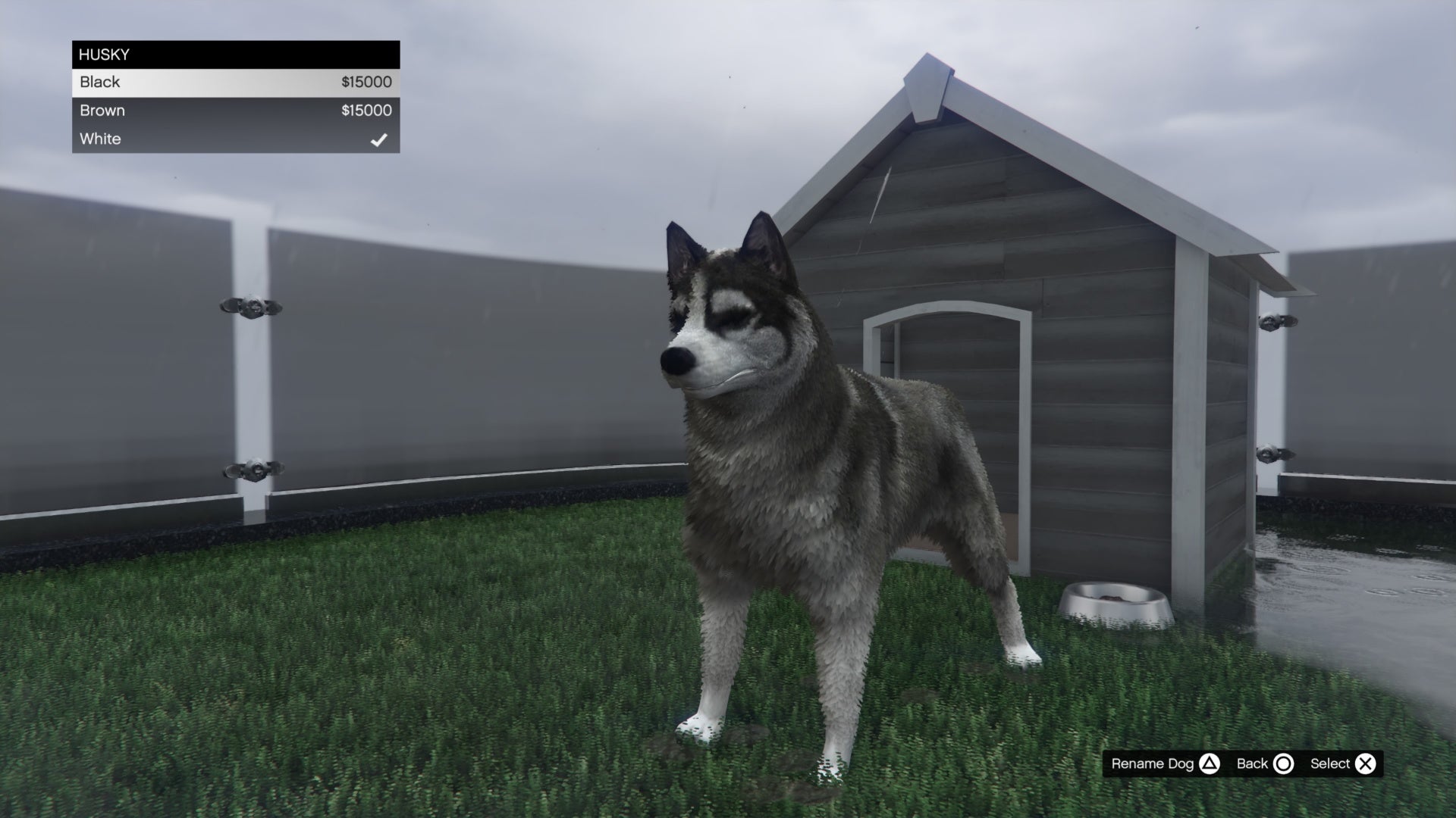 How to get a dog in GTA Online | Eurogamer.net