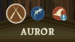 Harry Potter Wizards Unite - Professions: Which Profession is best ...