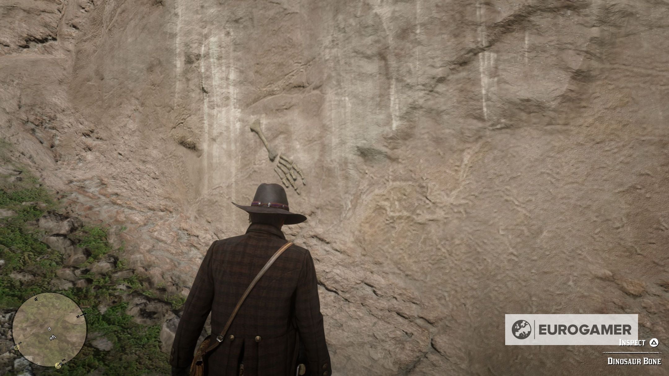 Red Dead Redemption 2 Dinosaur Bone locations and map | Eurogamer.net