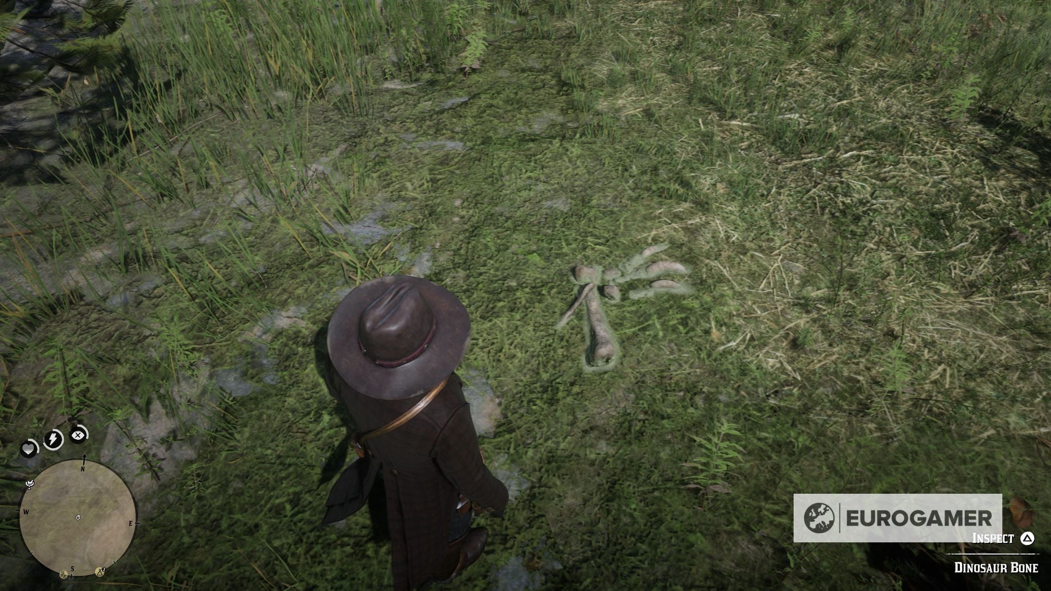 Red Dead Redemption 2 Dinosaur Bone locations and map | Eurogamer.net