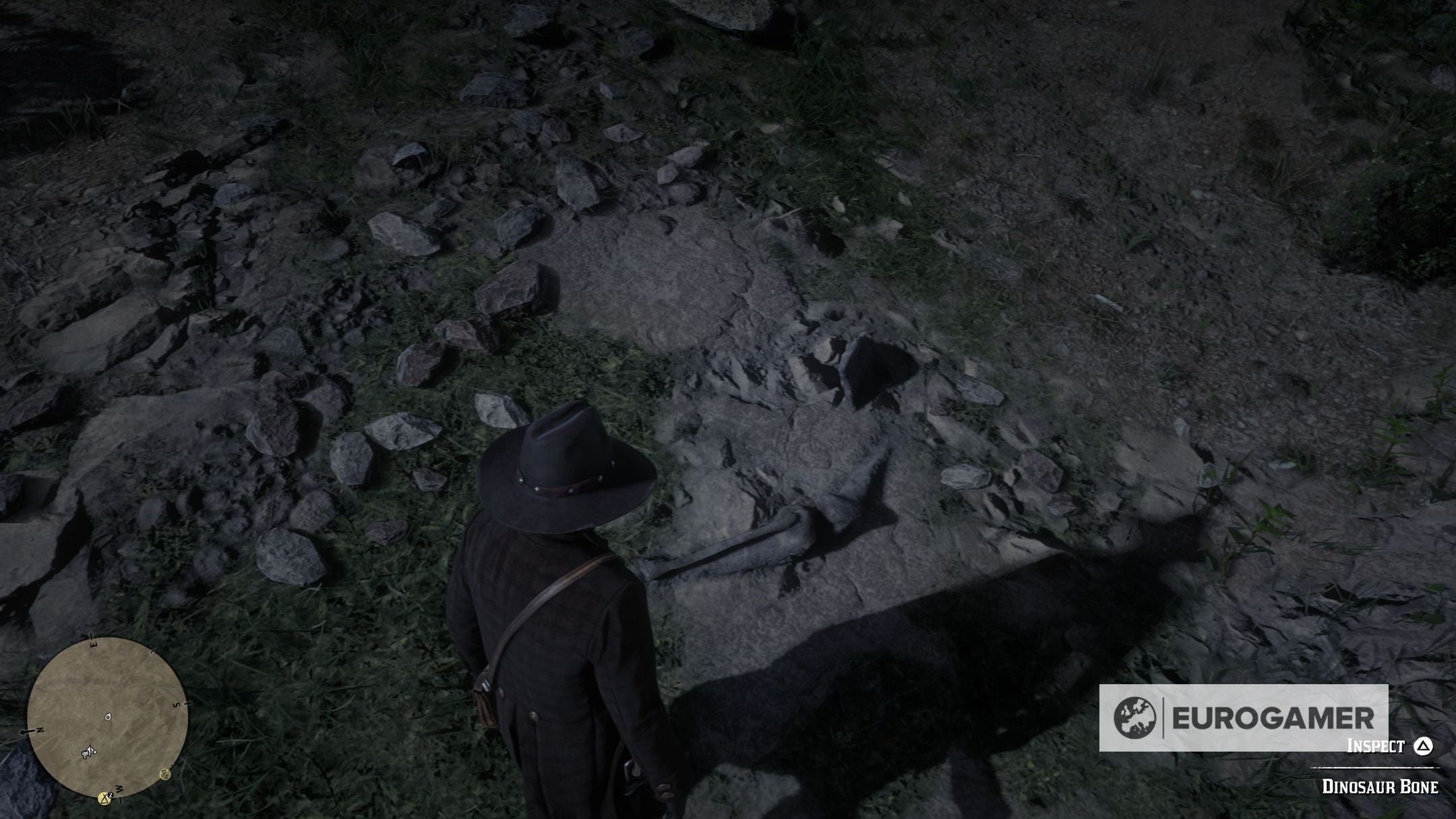 Red Dead Redemption 2 Dinosaur Bone locations and map | Eurogamer.net