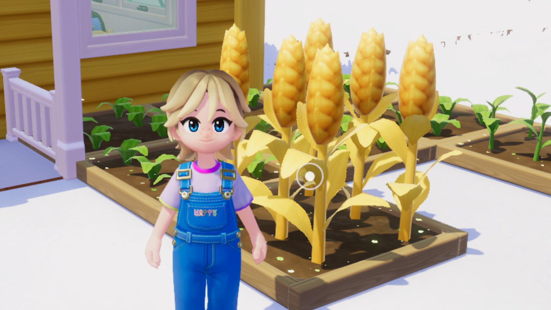 How to get Wheat in Heartopia | Eurogamer.net
