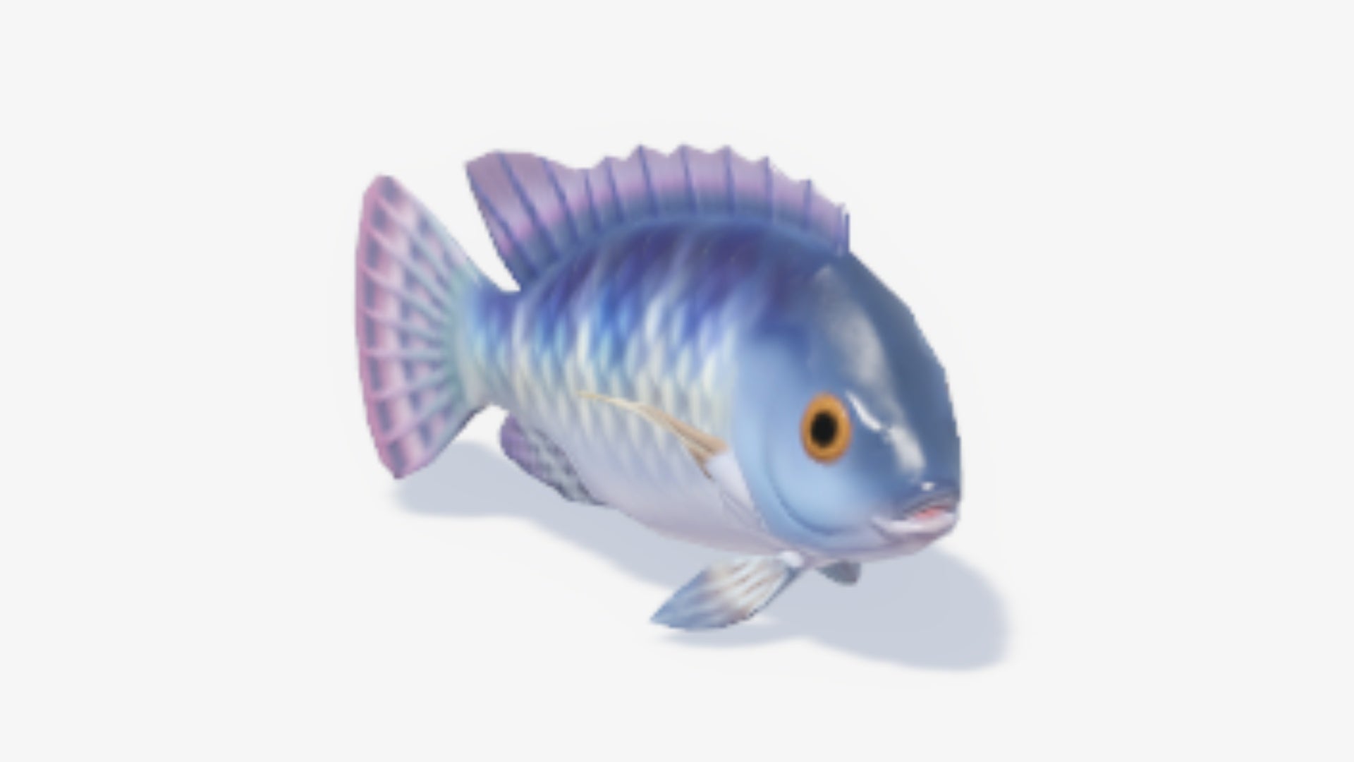 Where to catch Tilapia in Heartopia | Eurogamer.net