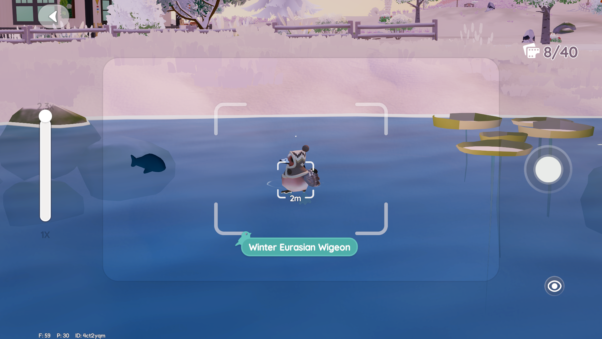 Where to find the Winter Mandarian Duck and all Winter Birds in ...