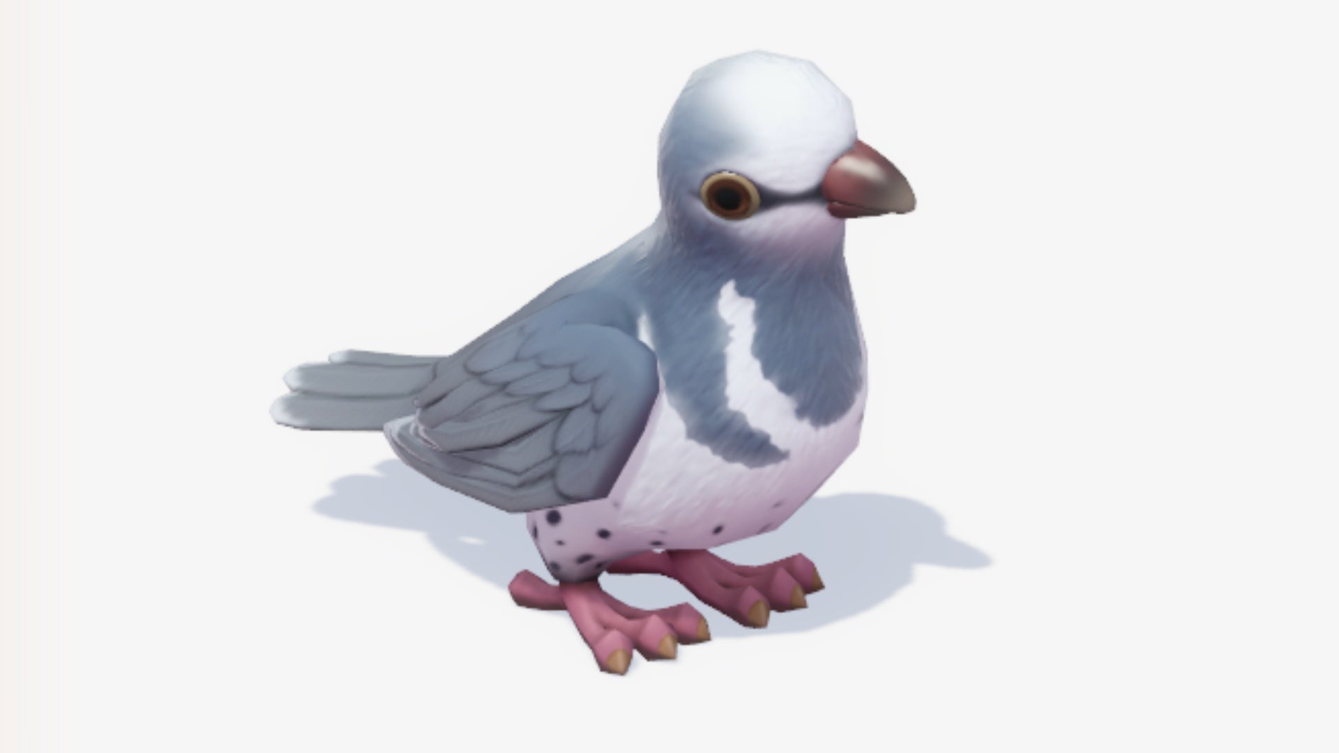 Heartopia Wonga Pigeon location | Eurogamer.net