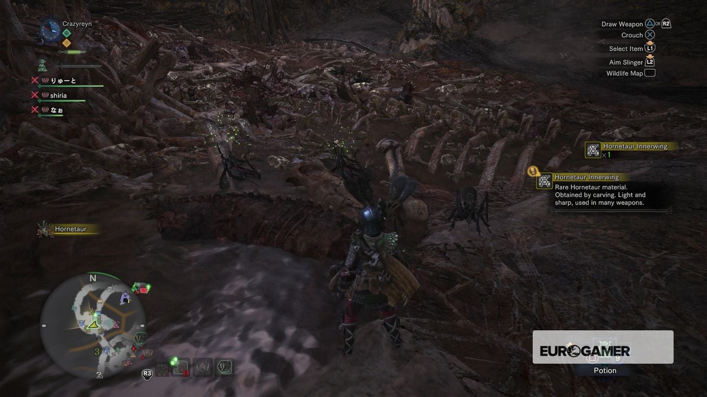 Monster Hunter World - Hornetaur location and how to get Hornetaur ...