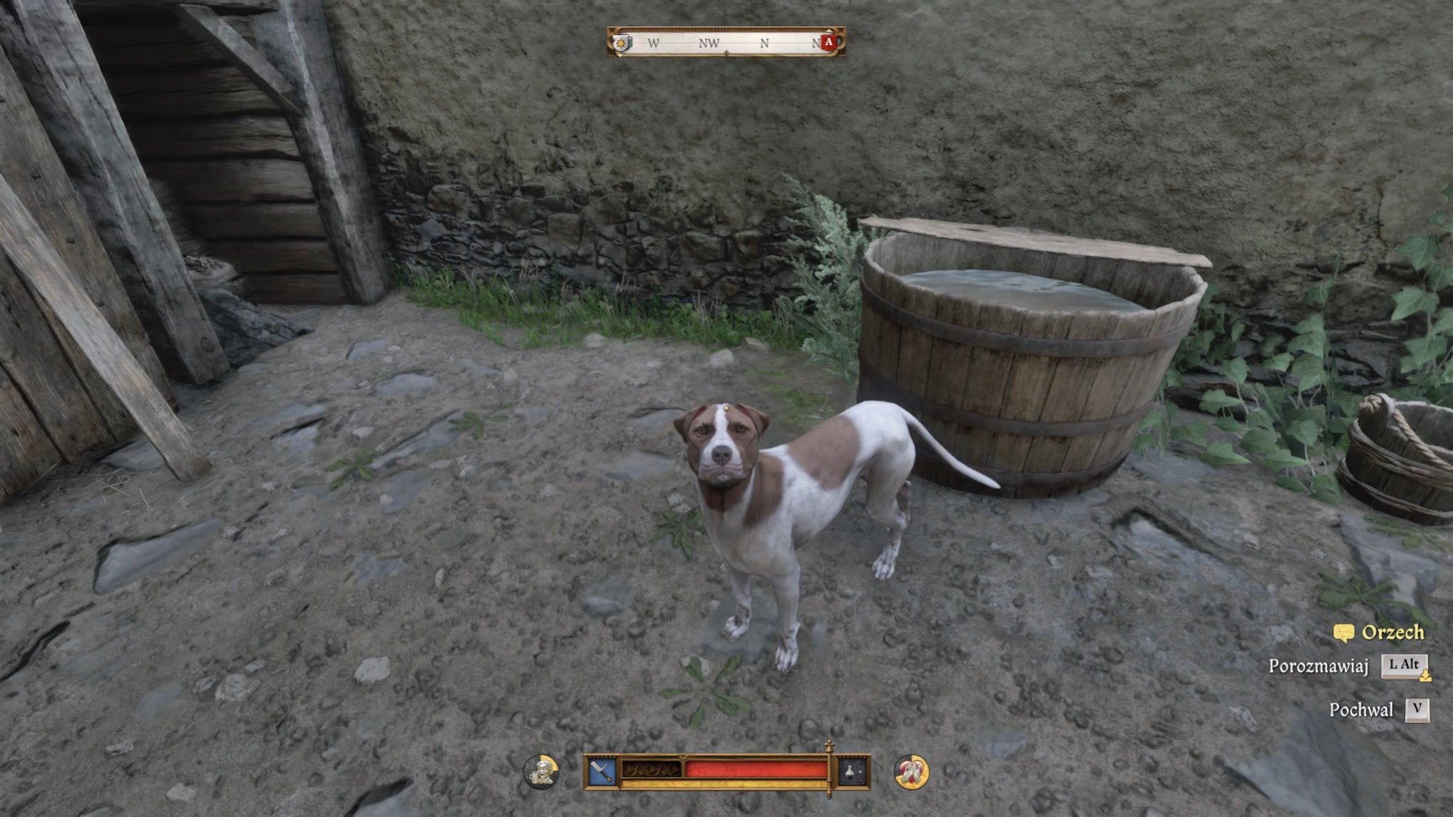 Kingdom Come Deliverance 2 - co zrobić, kiedy Orzech ucieknie: czy ...