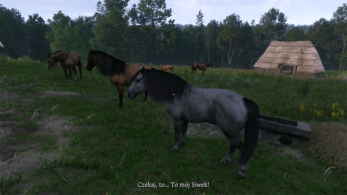 Kingdom Come Deliverance 2 - jak zdobyć konia, Siwek, jak odzyskać ...