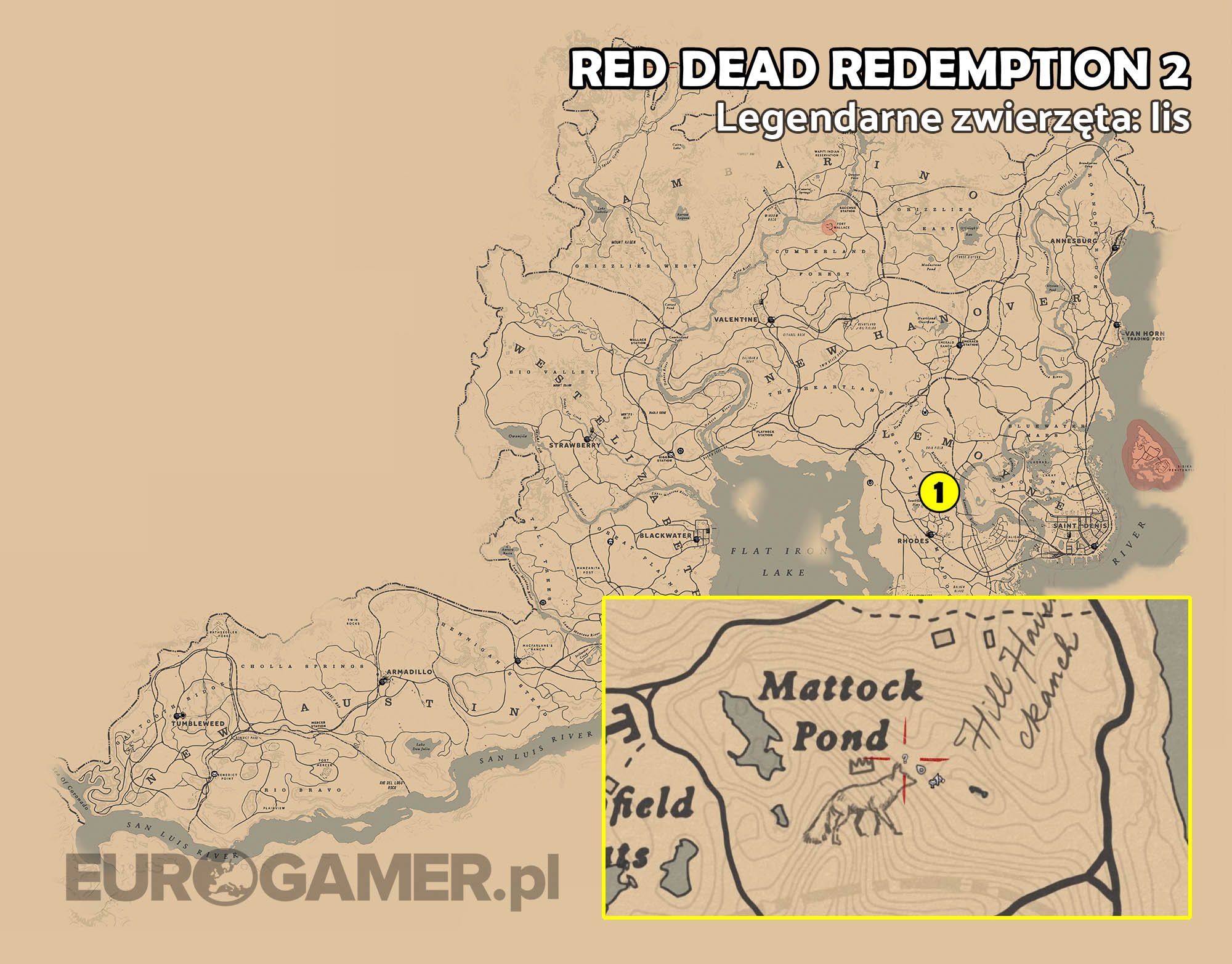 Red Dead Redemption 2 - legendarne zwierzęta: lis | Eurogamer.pl