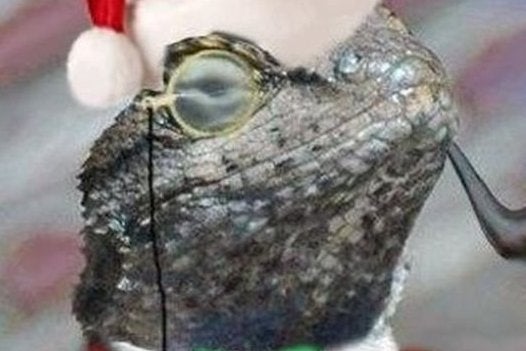 Lizard Squad attacks PlanetSide 2, H1Z1, more | Eurogamer.net