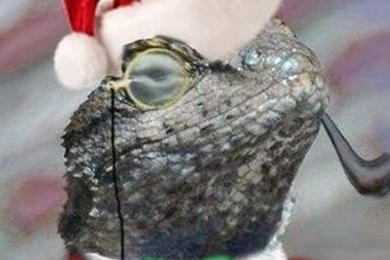 Lizard Squad hacker who helped bring down PSN and Xbox Live at ...