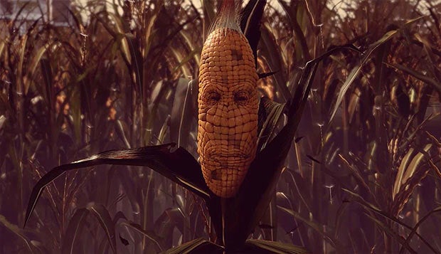 Maize Release Date A