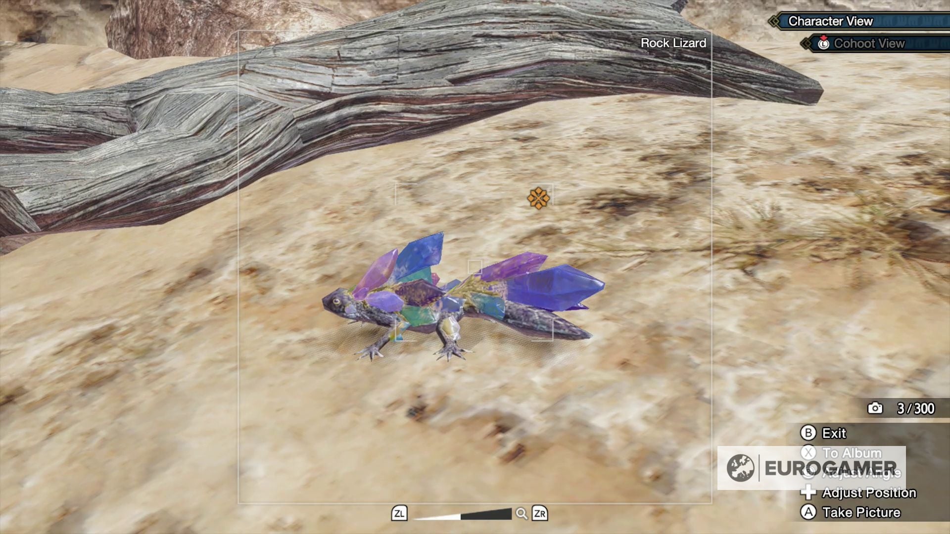 Monster Hunter Rise - Rock Lizard location: How to complete the Endemic ...