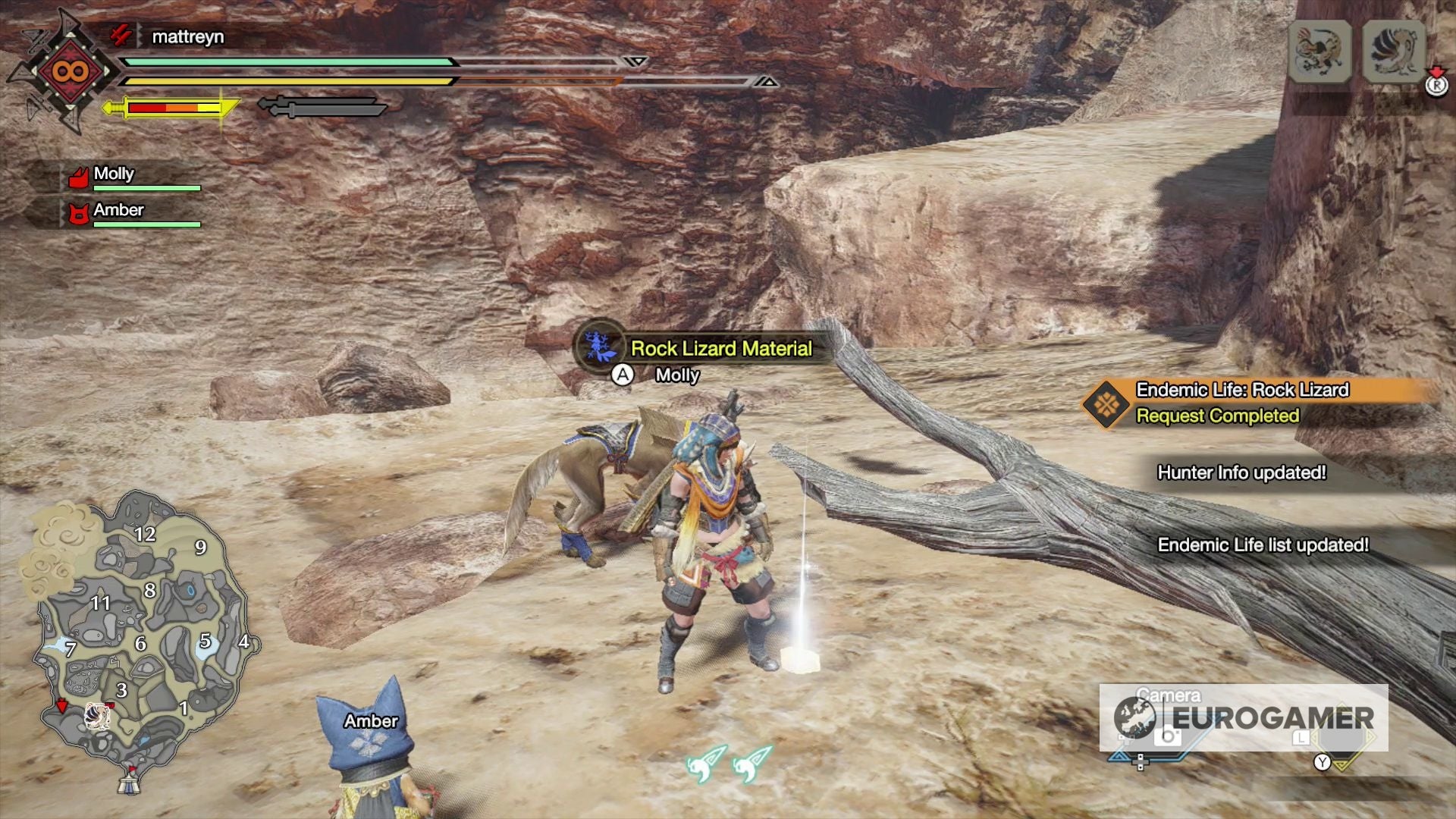 Monster Hunter Rise - Rock Lizard location: How to complete the Endemic ...