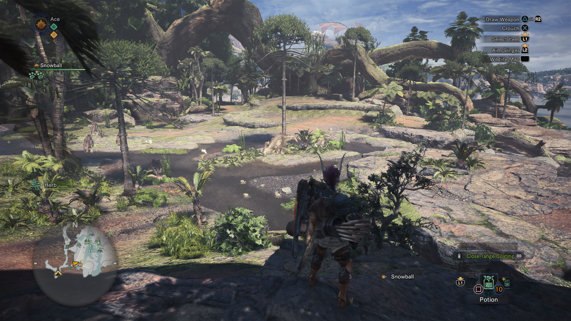 Monster Hunter World Ancient Forest - Map Overview, All Plants and ...