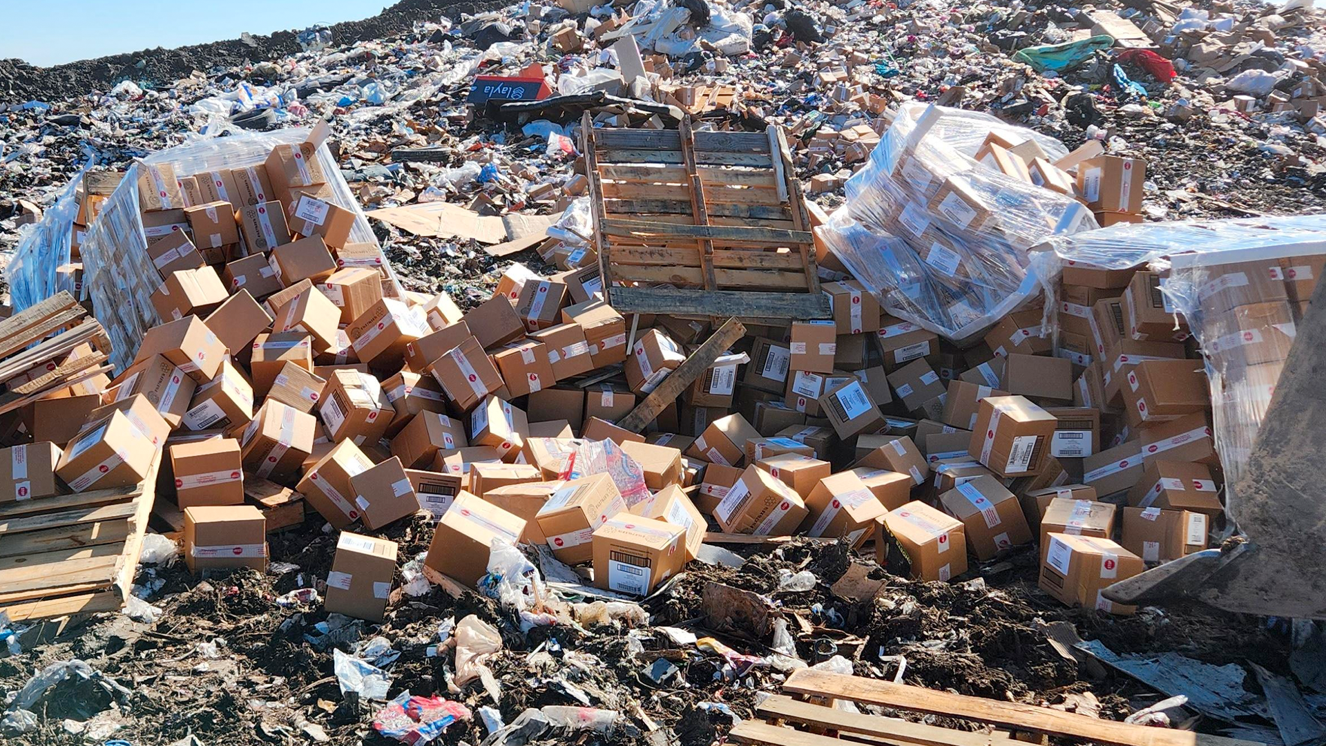 Thousands of dollars worth of pristine Magic: The Gathering boosters ...