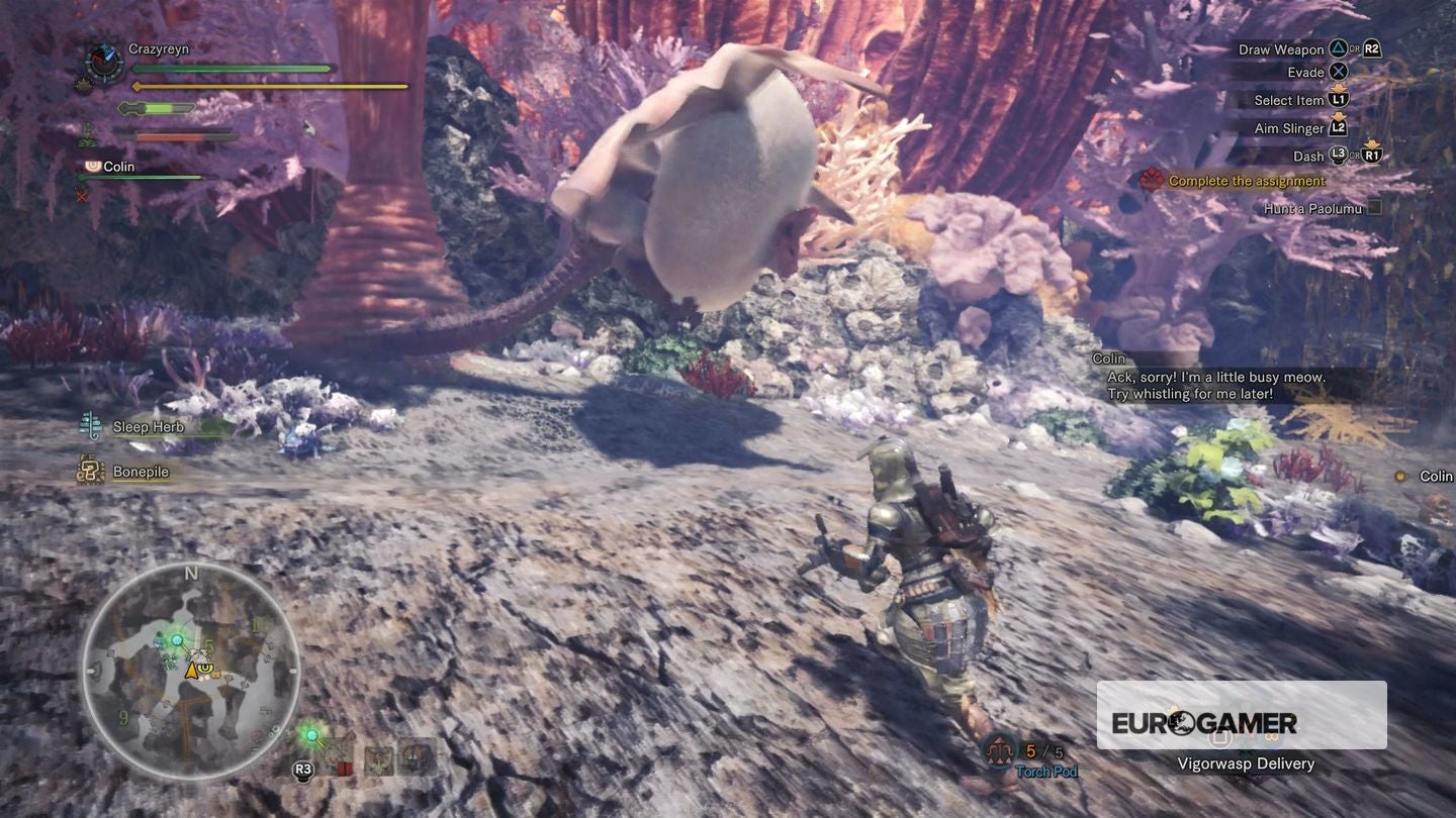 Monster Hunter World - Paolumu strategy and Paolumu parts to get ...