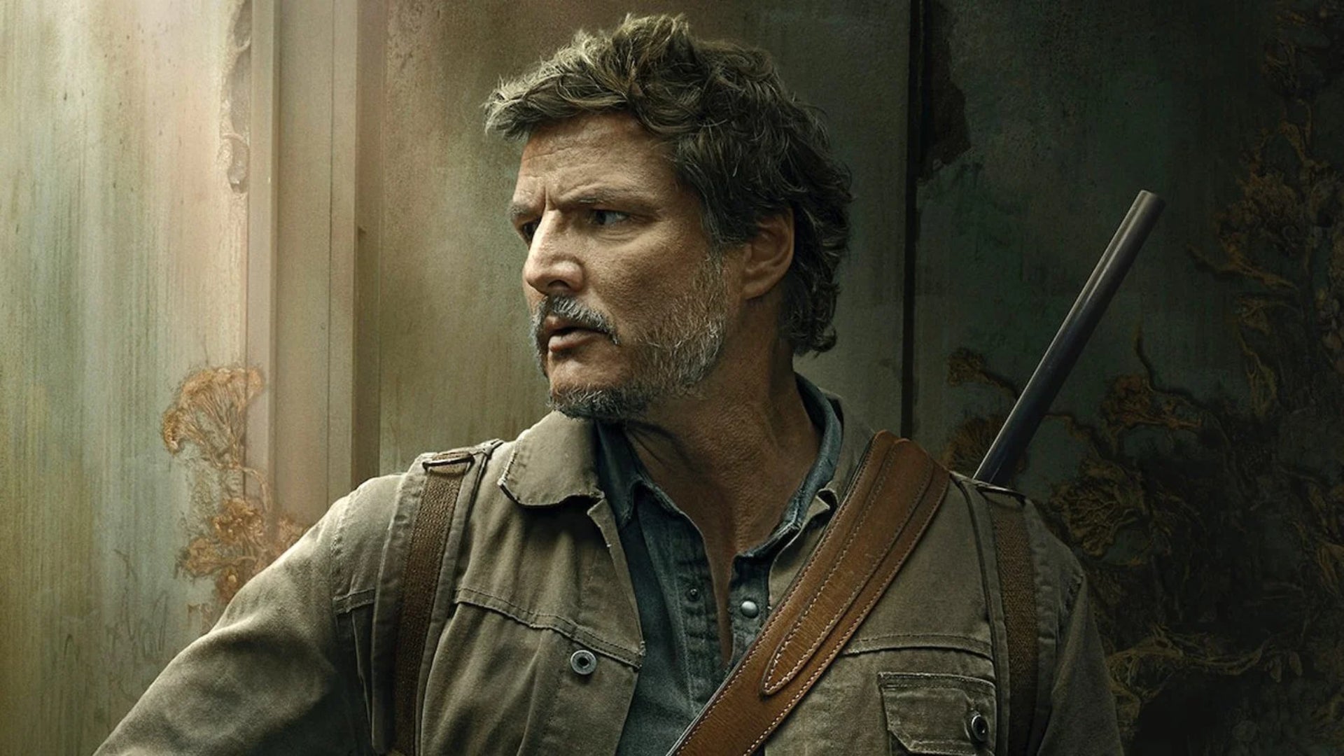 Pedro Pascal considerado Melhor Ator nos People’s Choice Awards ...