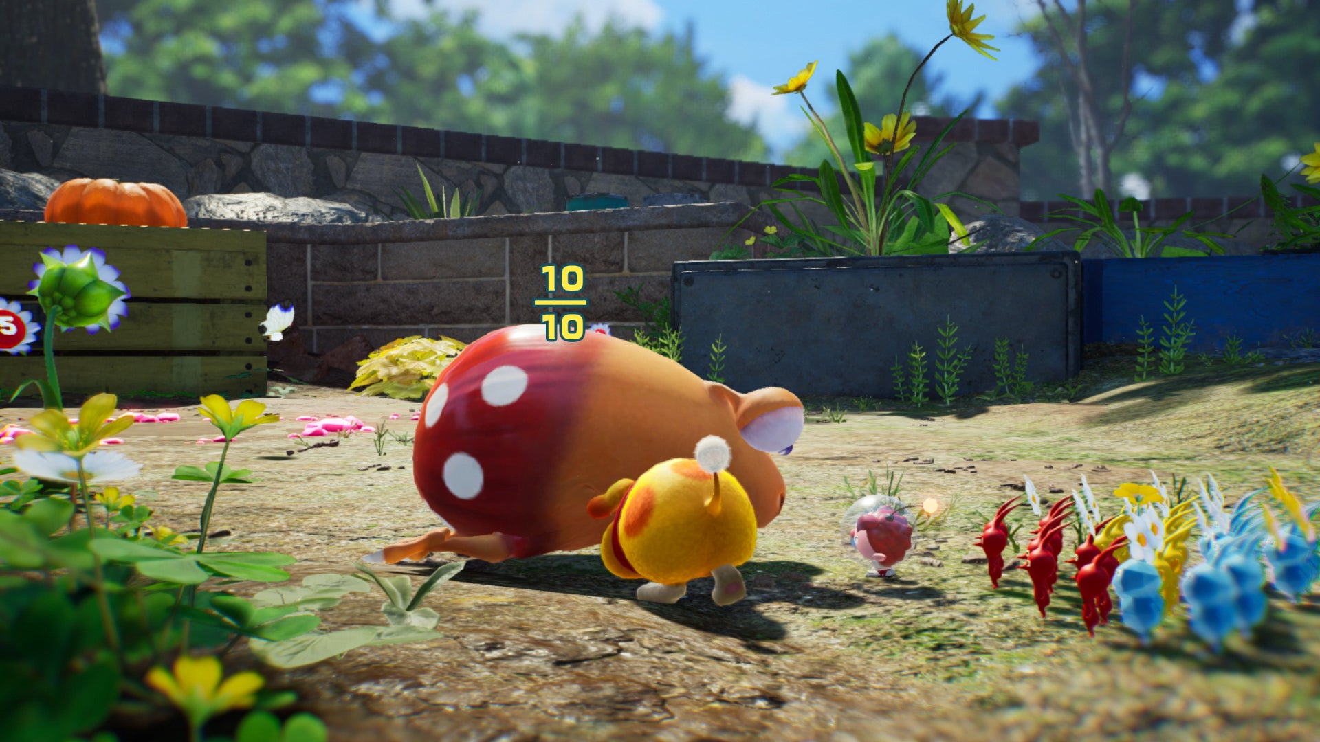 Pikmin 4 release date set for the sweltering month of July | VG247