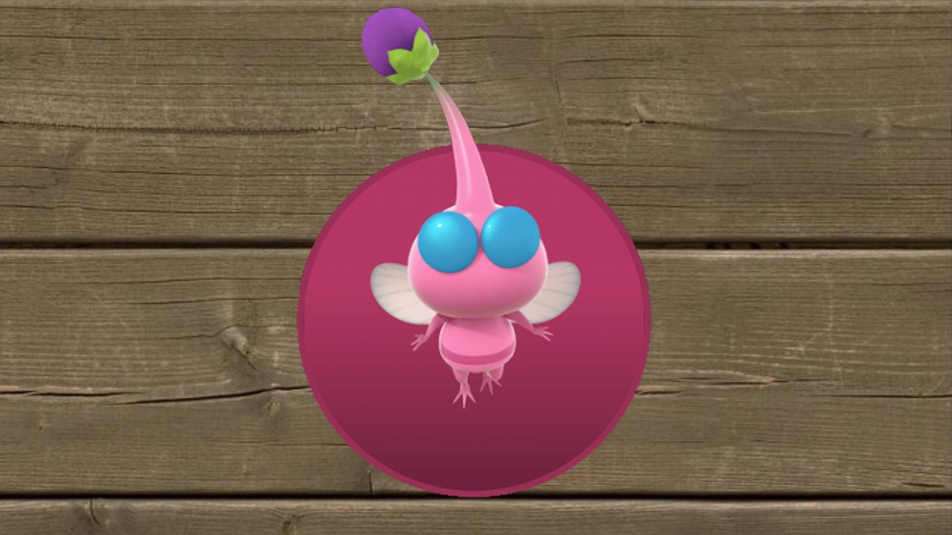 How to get Winged Pikmin in Pikmin 4 | Eurogamer.net