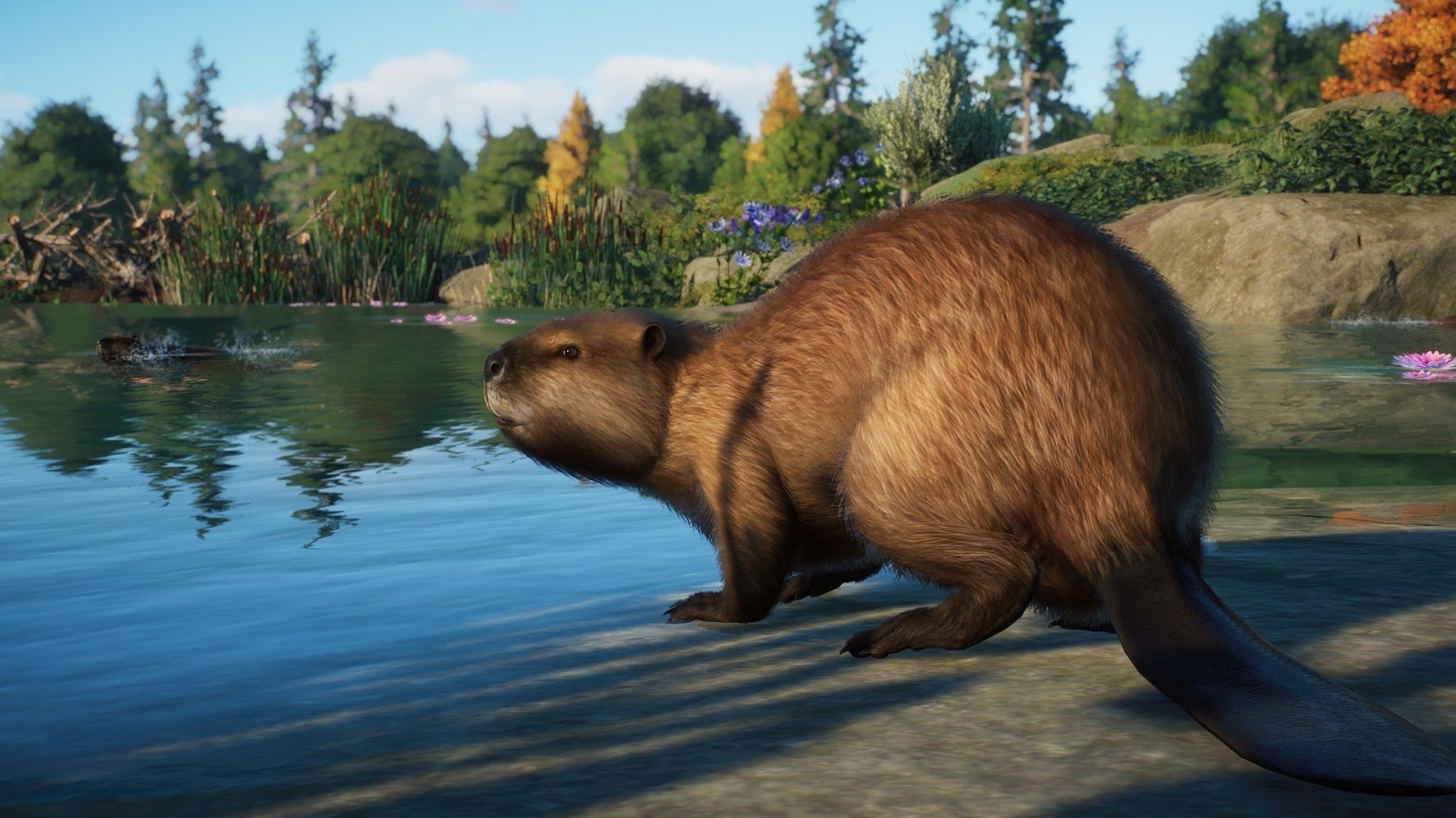 Planet Zoo gets beavers, moose, and more in next month's North America ...