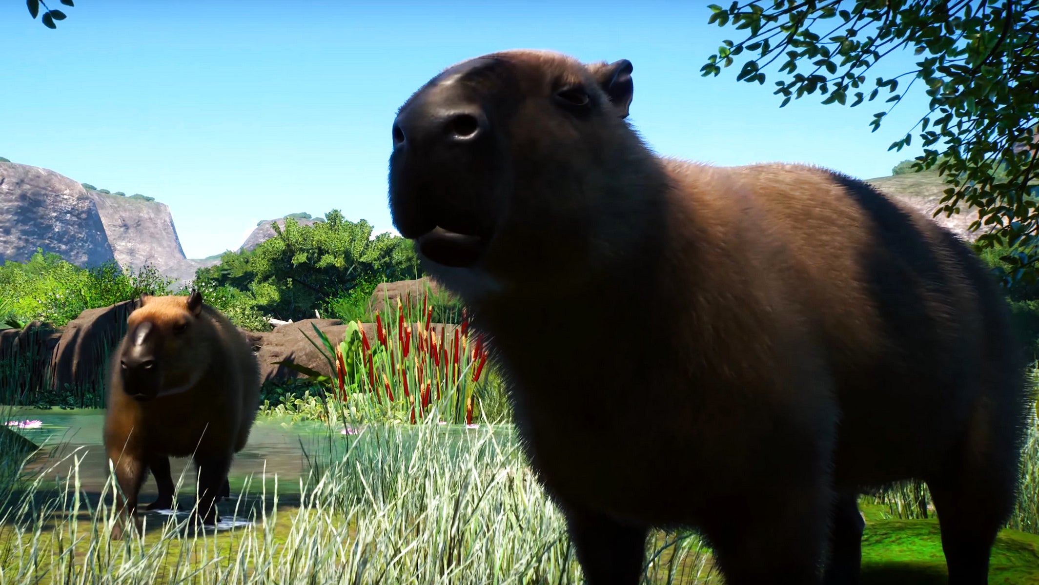 Planet Zoo: Neuer DLC beschert euch Capybaras, Klauenotter und andere ...