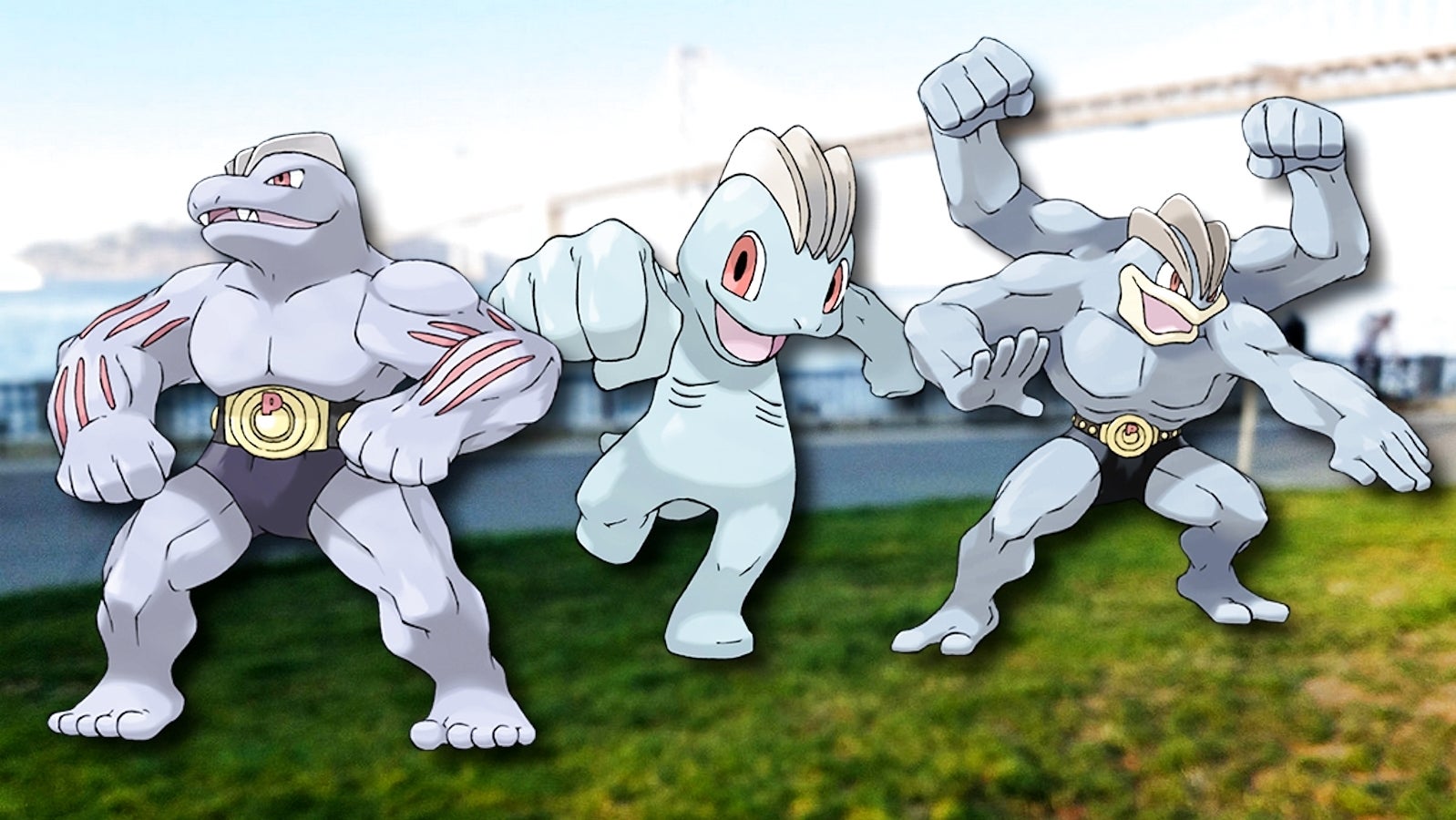 Pokemon Machop Evolution Machop Pokemon Legends: Arceus Guide IGN