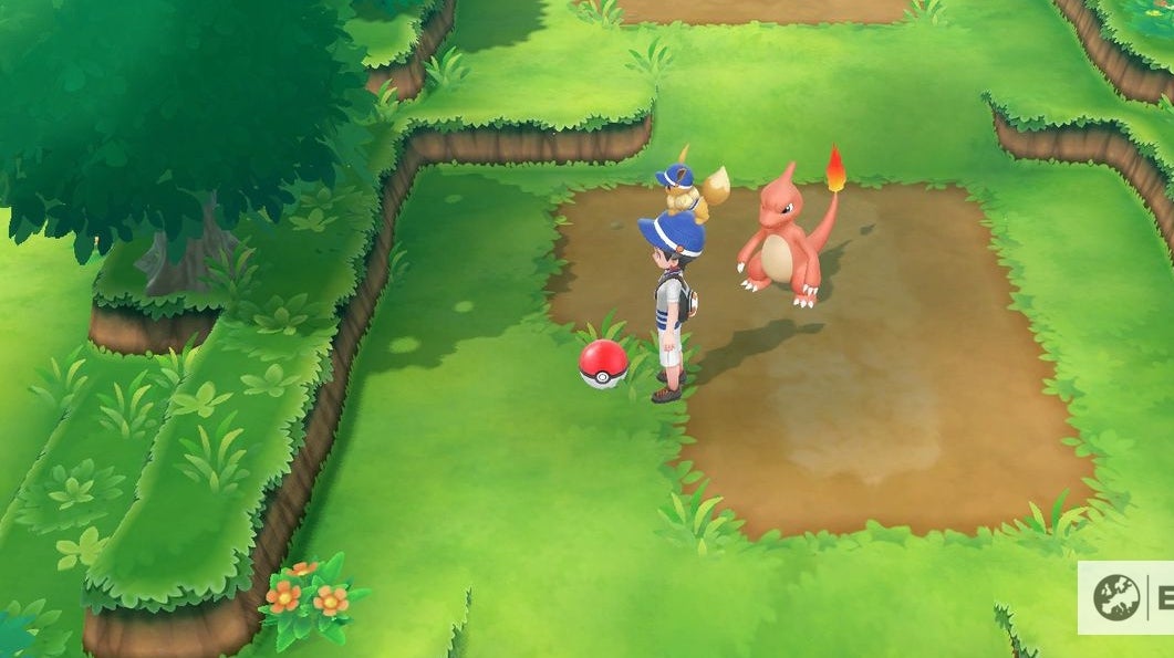 Pedras Da Evolucao Eevee