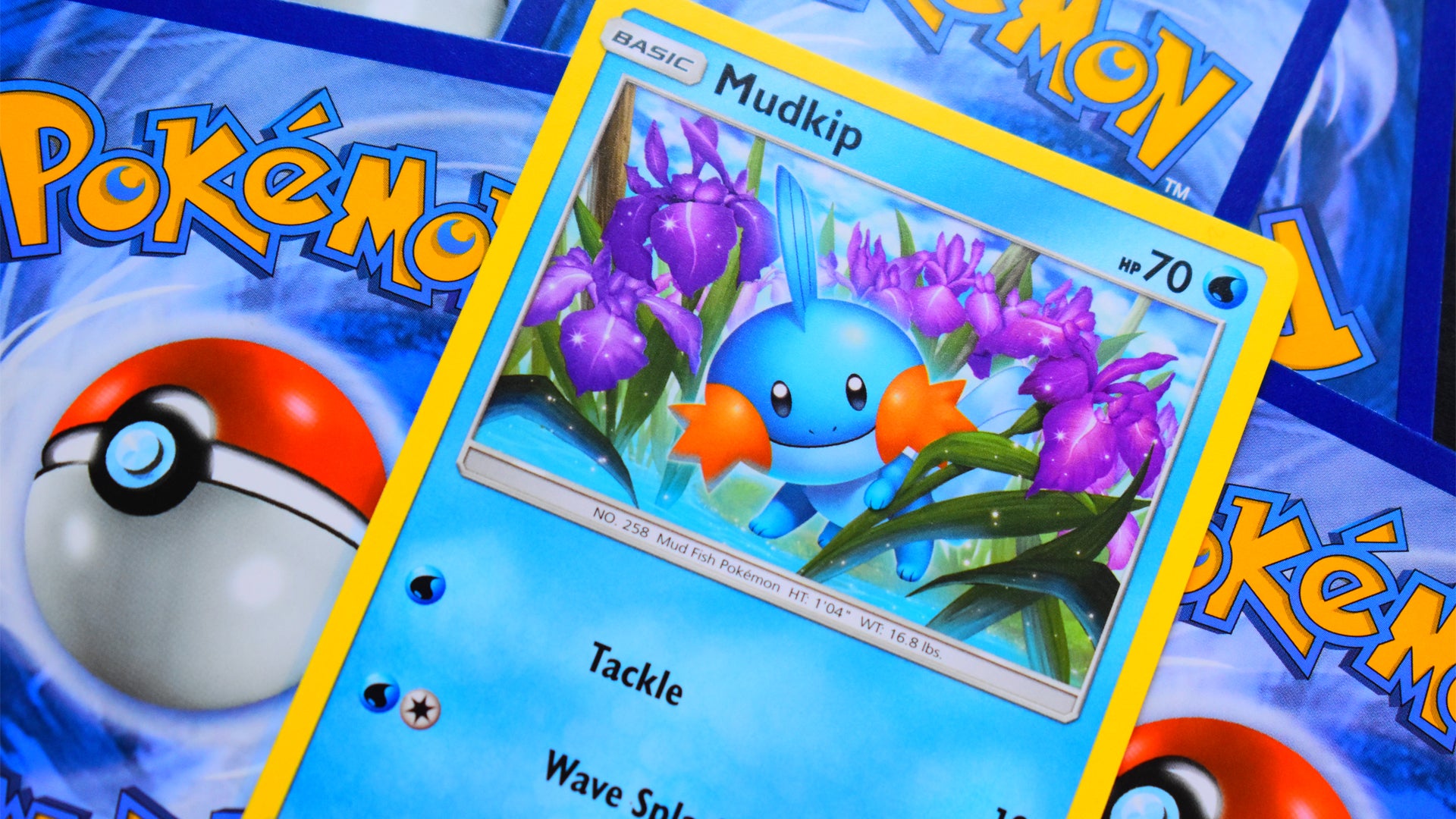 How to build a Pokémon TCG deck for beginners | Dicebreaker