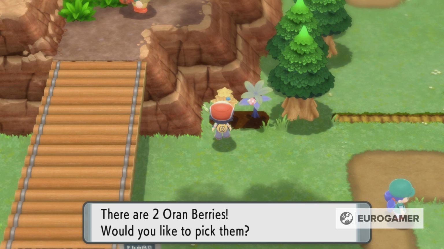 Route 205 South and North Pokémon, trainers and items in Pokémon ...
