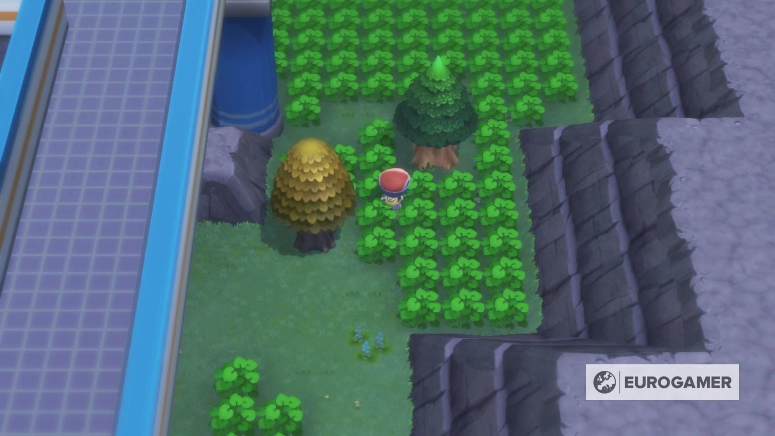 Route 206 and Route 207 Pokémon, trainers and items in Pokémon ...