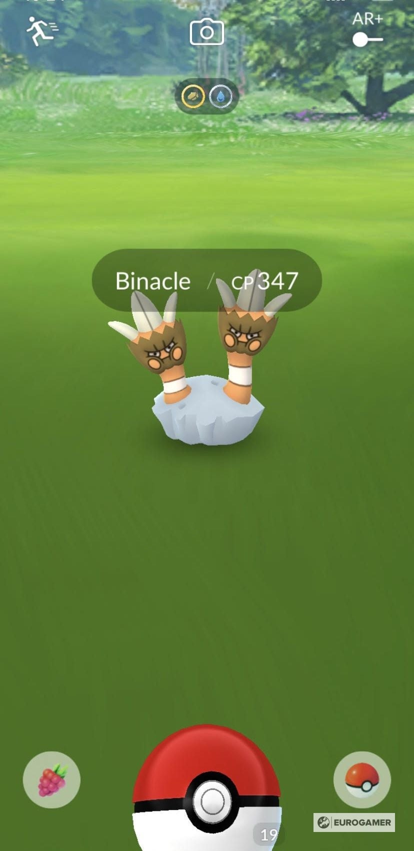 Evolucao Do Binaculo Pokemon Pokemon Go Shiny Trubbish Garbodor 1st