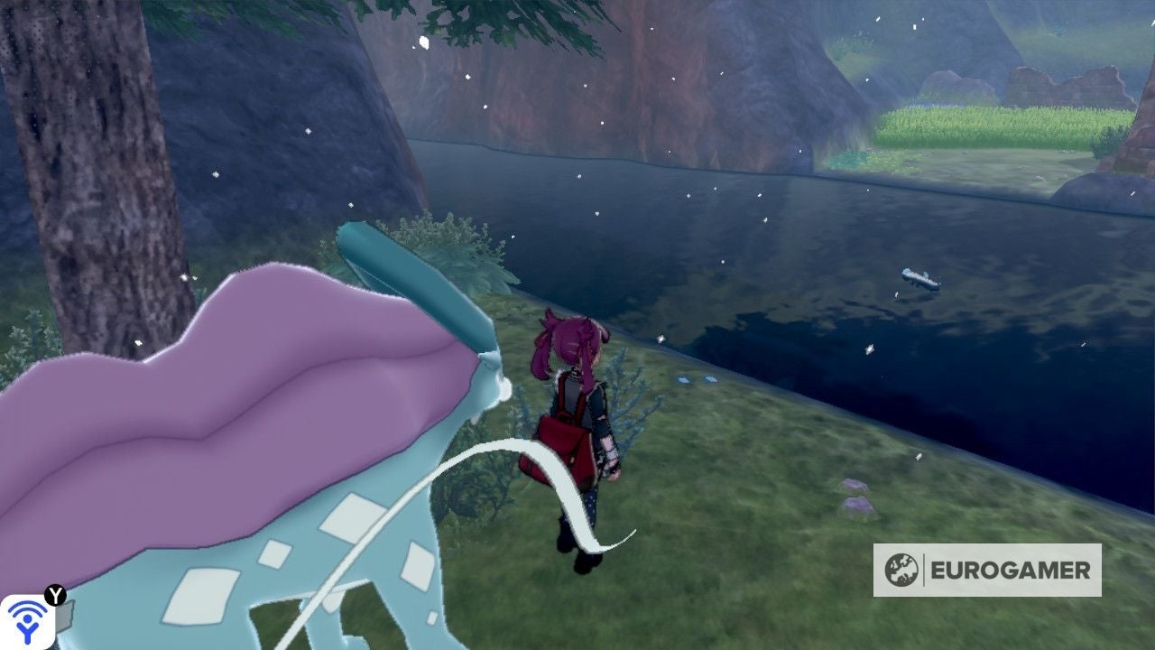 Pokémon Crown Tundra Footprints: How to find Cavern, Grasslands and ...