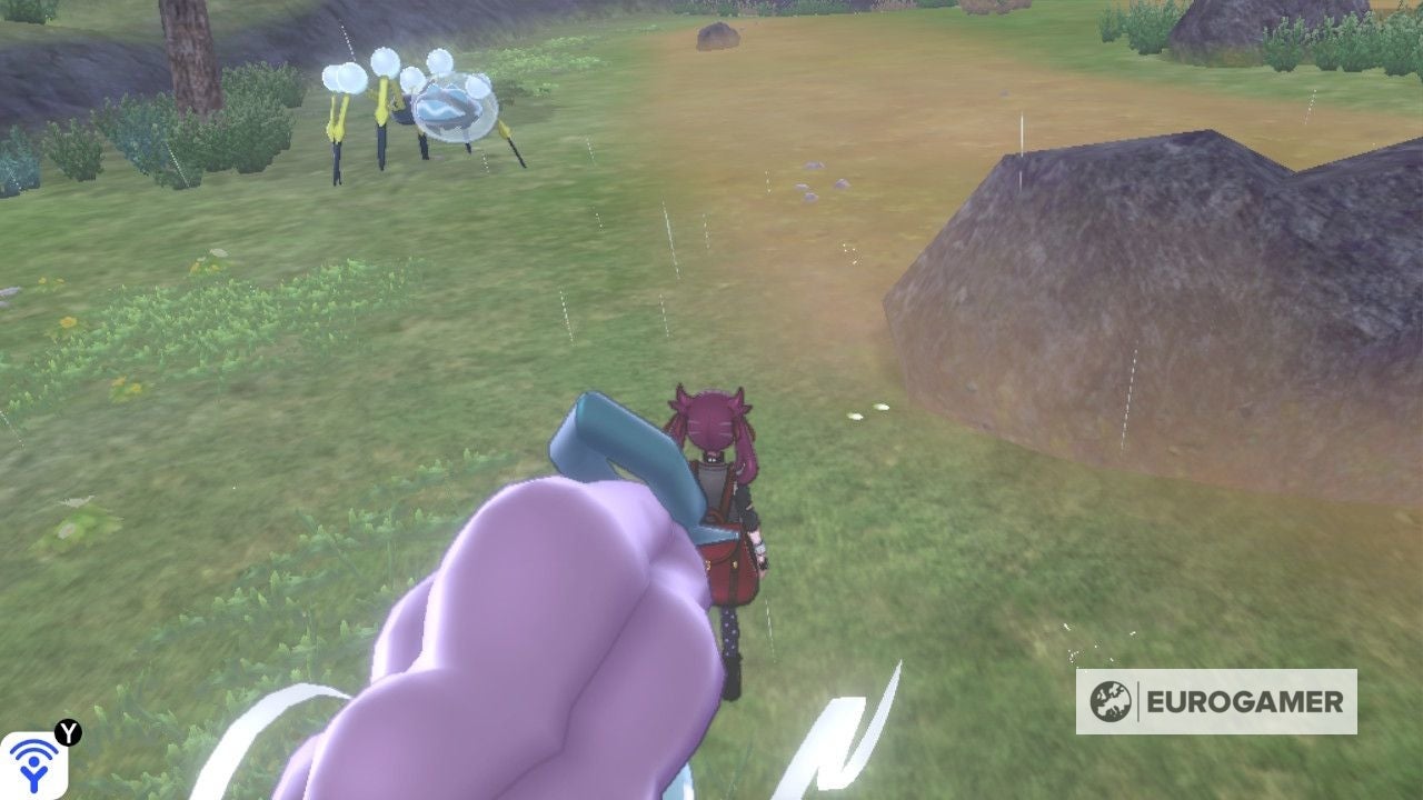 Pokémon Crown Tundra Footprints: How to find Cavern, Grasslands and ...