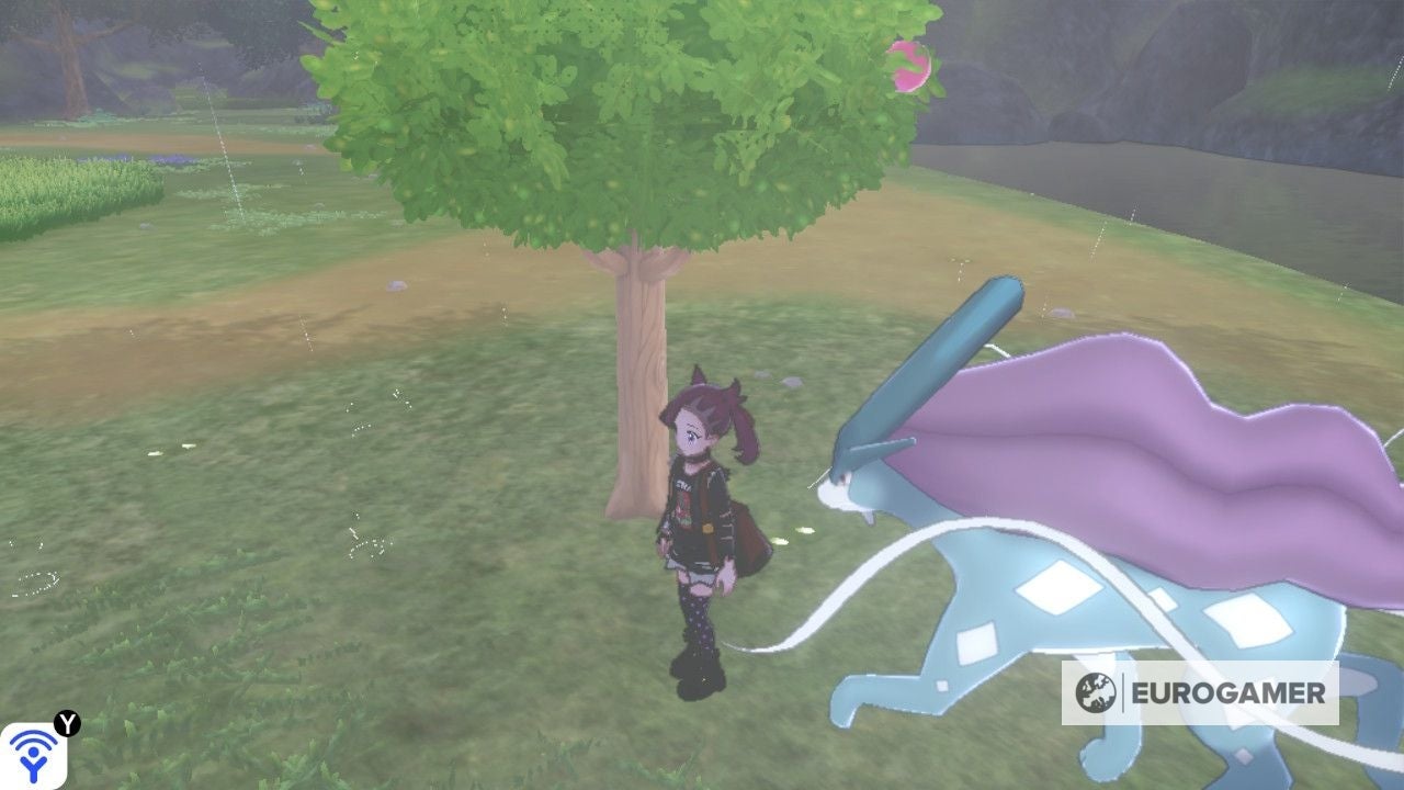 Pokémon Crown Tundra Footprints: How to find Cavern, Grasslands and ...