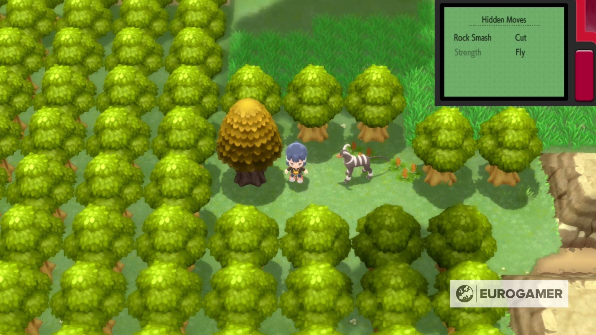 Honey tree Pokémon spawn list and wait time in Pokémon Brilliant ...