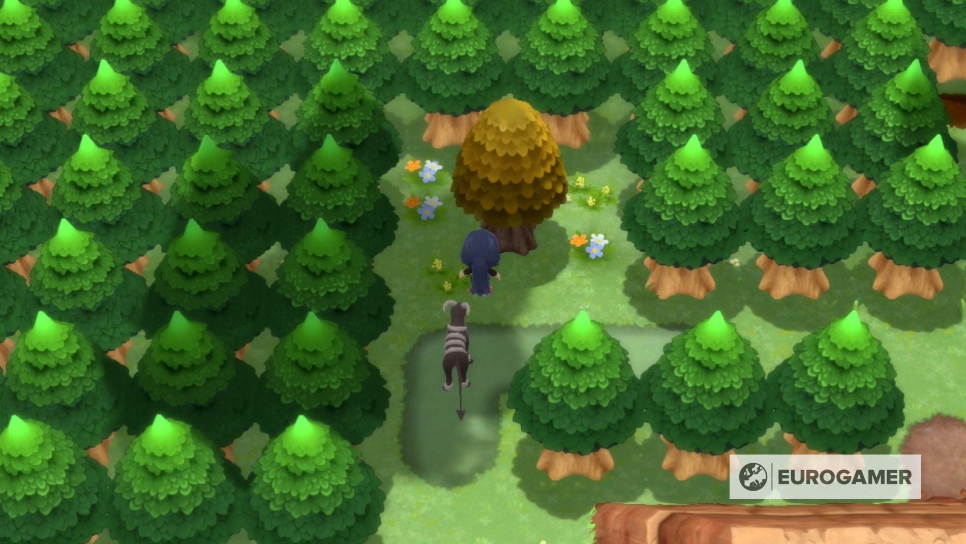 Honey tree Pokémon spawn list and wait time in Pokémon Brilliant ...