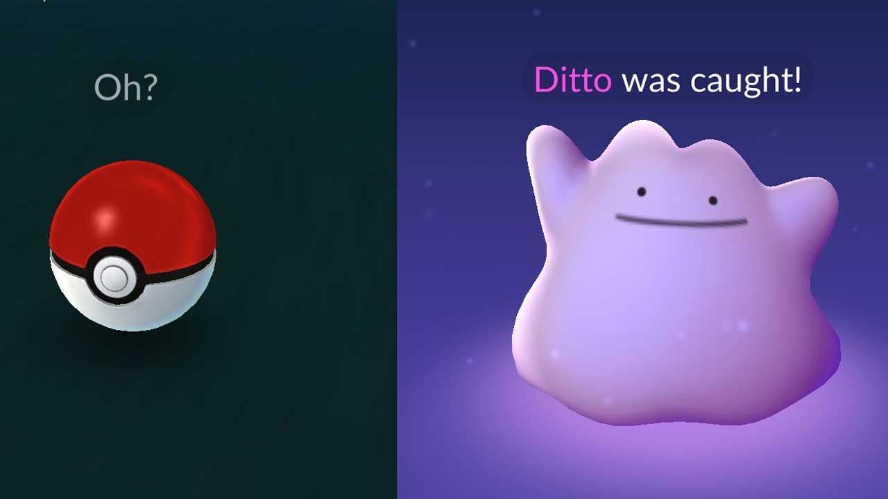 Pokemon Go Ditto disguises list 2022: how to catch a Ditto | VG247