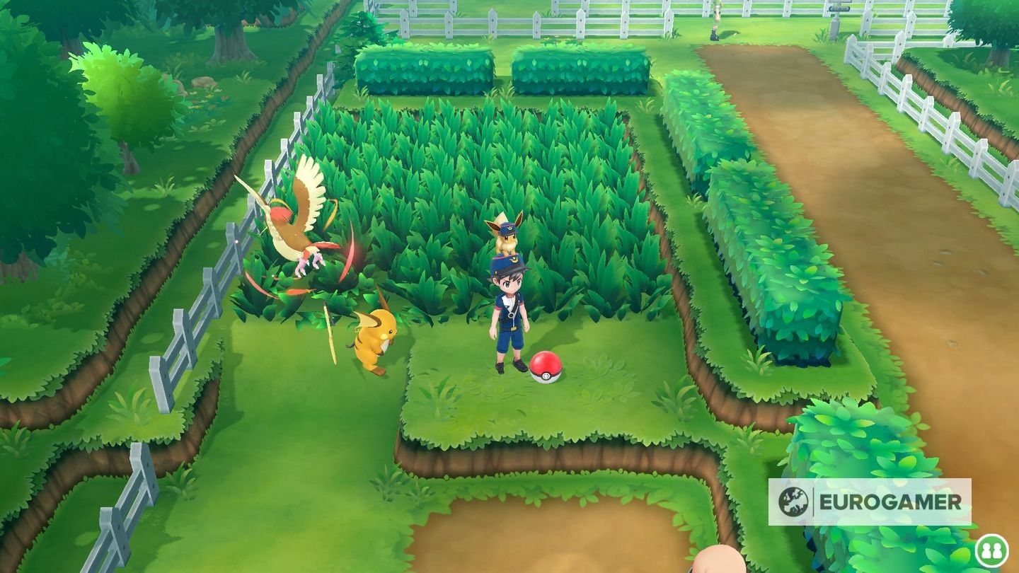 Pokémon Let's Go Route 14 - available Pokémon, items and trainers ...