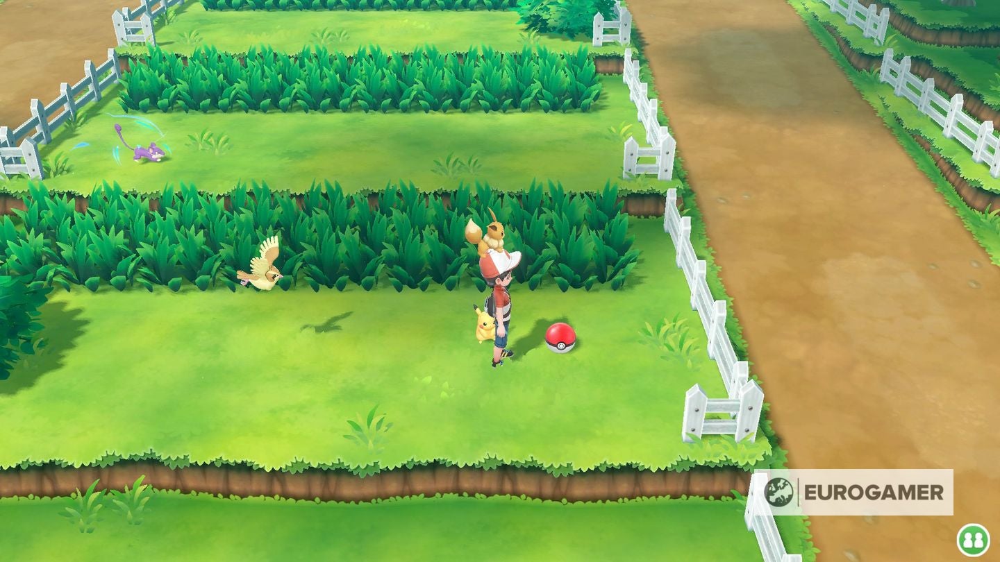 Pokémon Let's Go: Route 5 und die Pokémon-Pension | Eurogamer.de